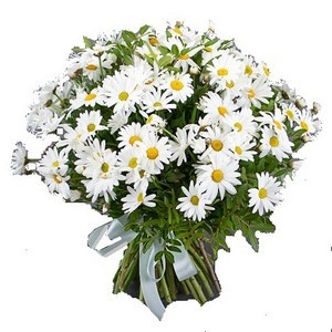 National and Popular Flowers in Russia - FlowersUSSR